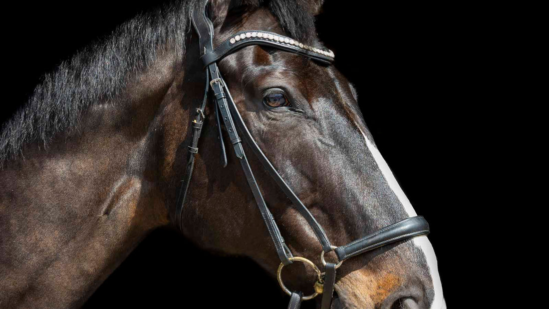 Saltec - Iodized salt block for livestock (20kg)