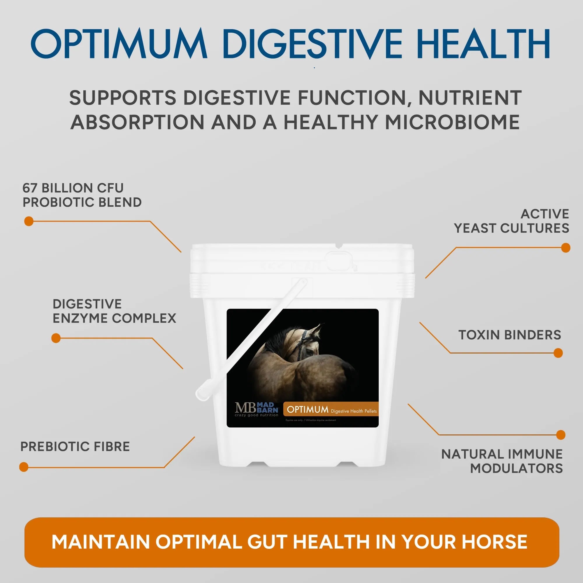 Mad Barn - Optimum Digestive Health